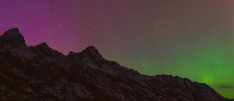 Yellowstone to Yukon (Y2Y) Project - Fondazione Capellino