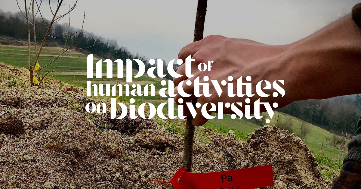 Impact of human activities on biodiversity | Fondazione Capellino